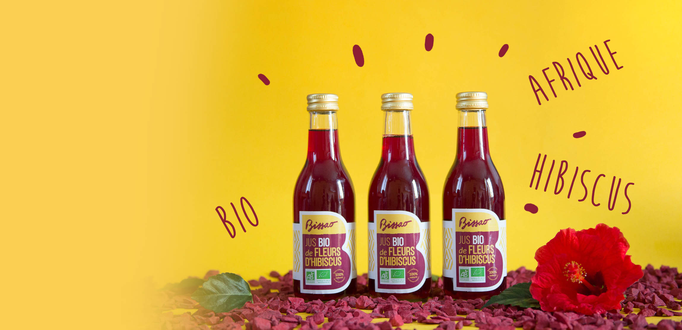 Bissao - Jus d'hibiscus bio, découvrez notre jus de bissap